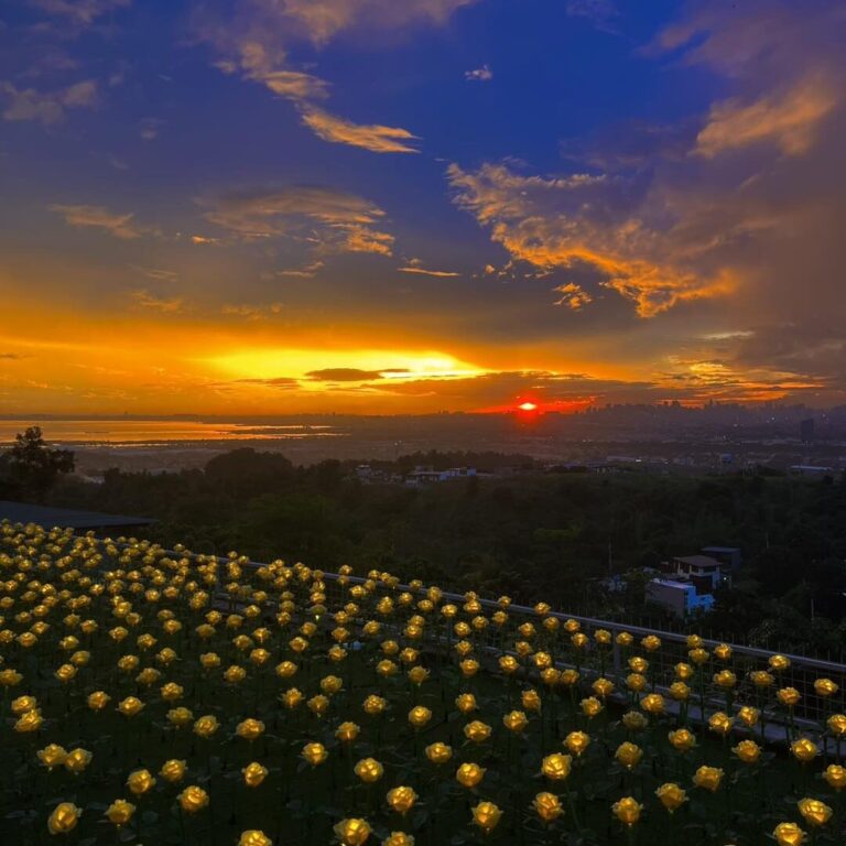 2026 Updated List: Best Overlooking Cafe in Angono, Rizal